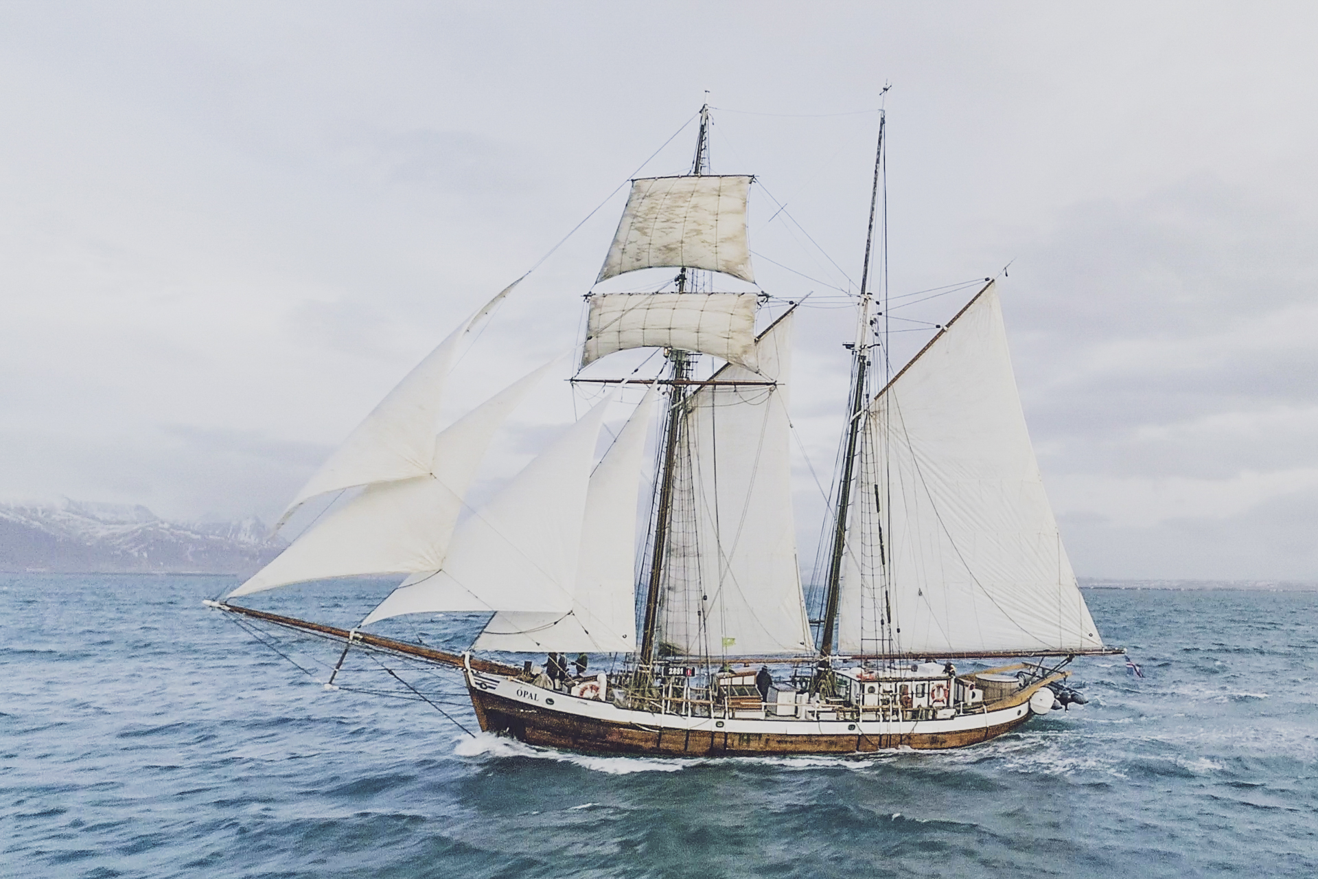 Green Whale Watching Husavik on the eco-friendly Opal